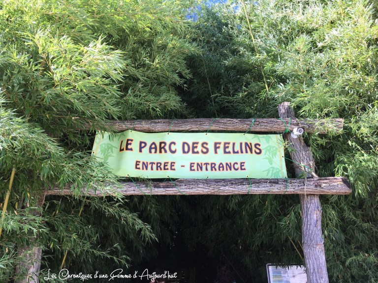 Visite… au Parc des Félins